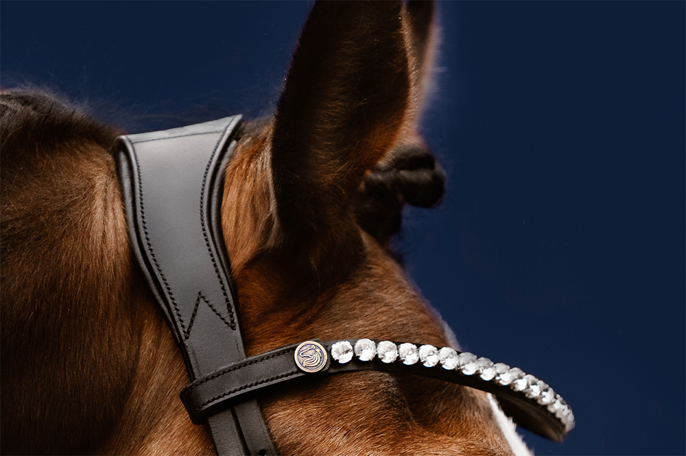 Anatomische Trensen mit garantiert perfekter Passform